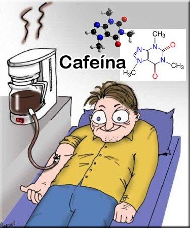 ¿La cafeína nos pone más alertas?