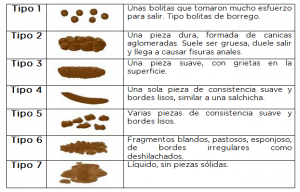 Lo que dice tu popó de tu salud intestinal