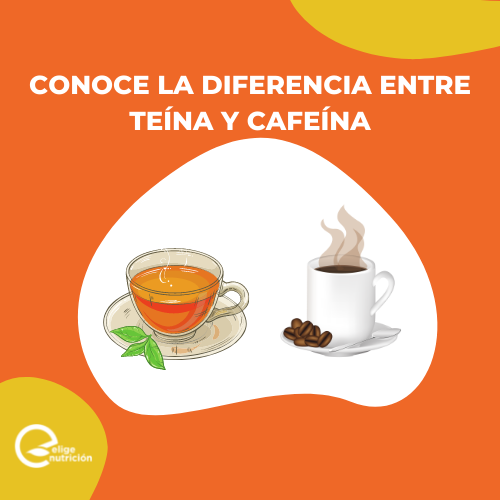 Conoce la diferencia entre teína y cafeína | Elige Nutrición